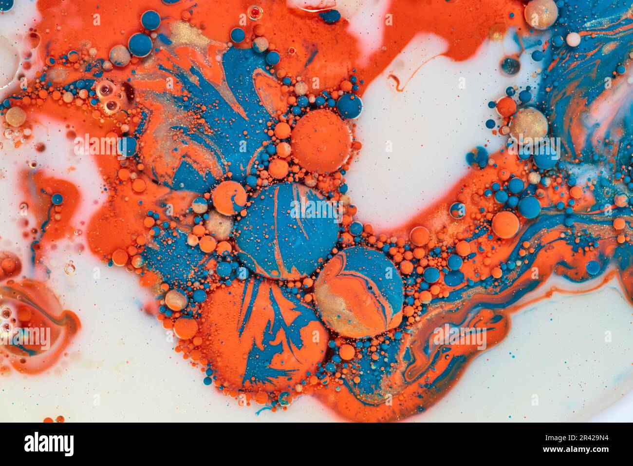 Blobs of color in a sea of milky white abstract acrylic background ...