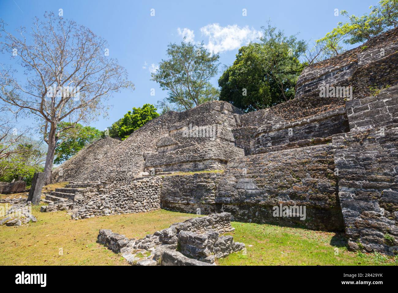 Pyramide in Belize Stock Photo - Alamy
