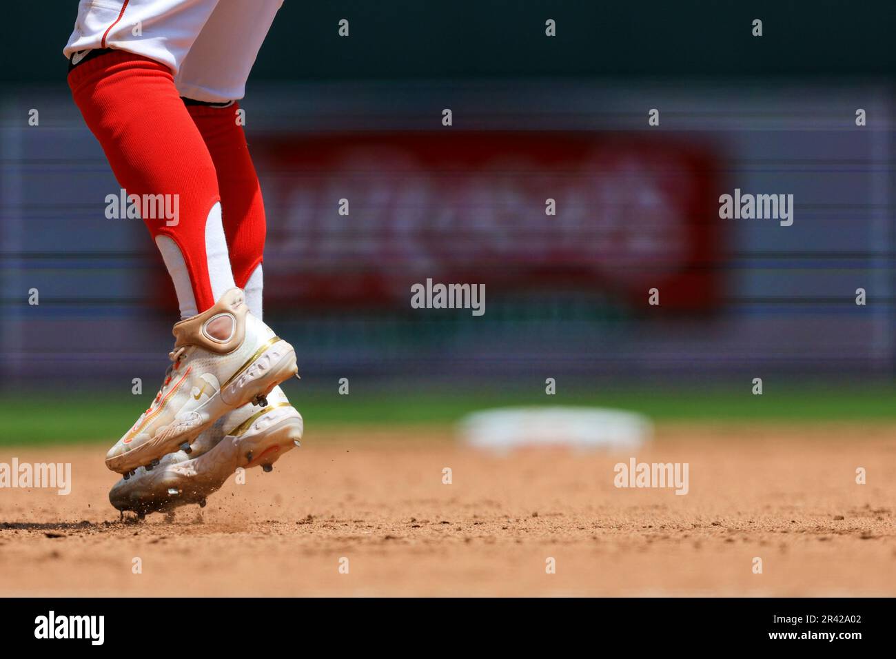 The socks and cleats worn by Cincinnati Reds' Jonathan India are seen ...