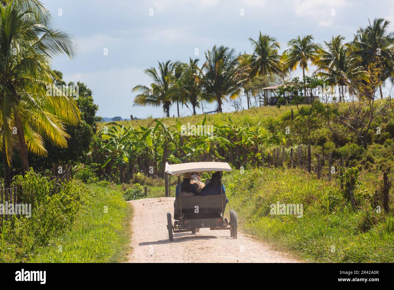 Mennonite family hi-res stock photography and images - Alamy