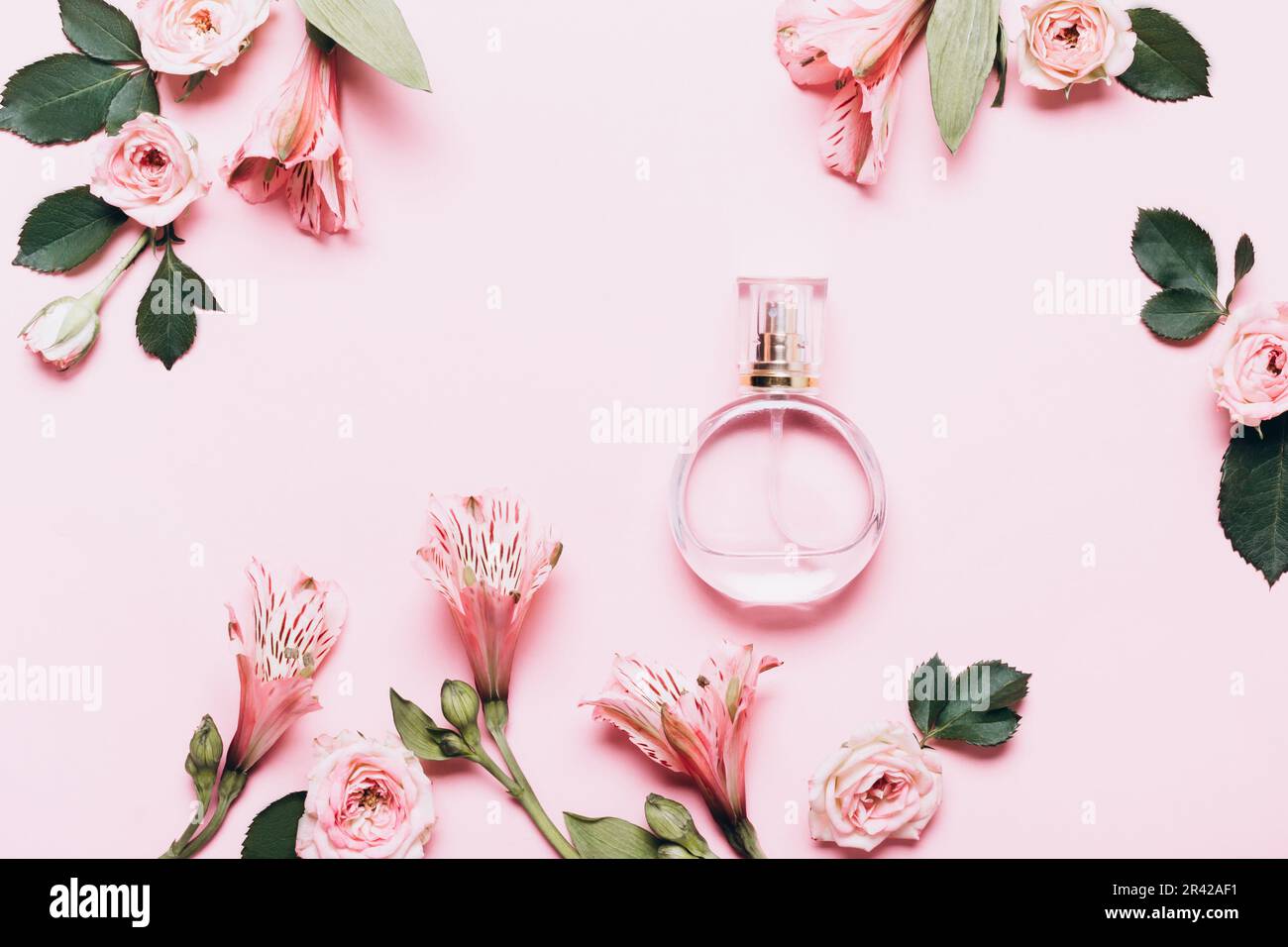 Women's perfume bottle and roses flowers on pink background. Creative ...