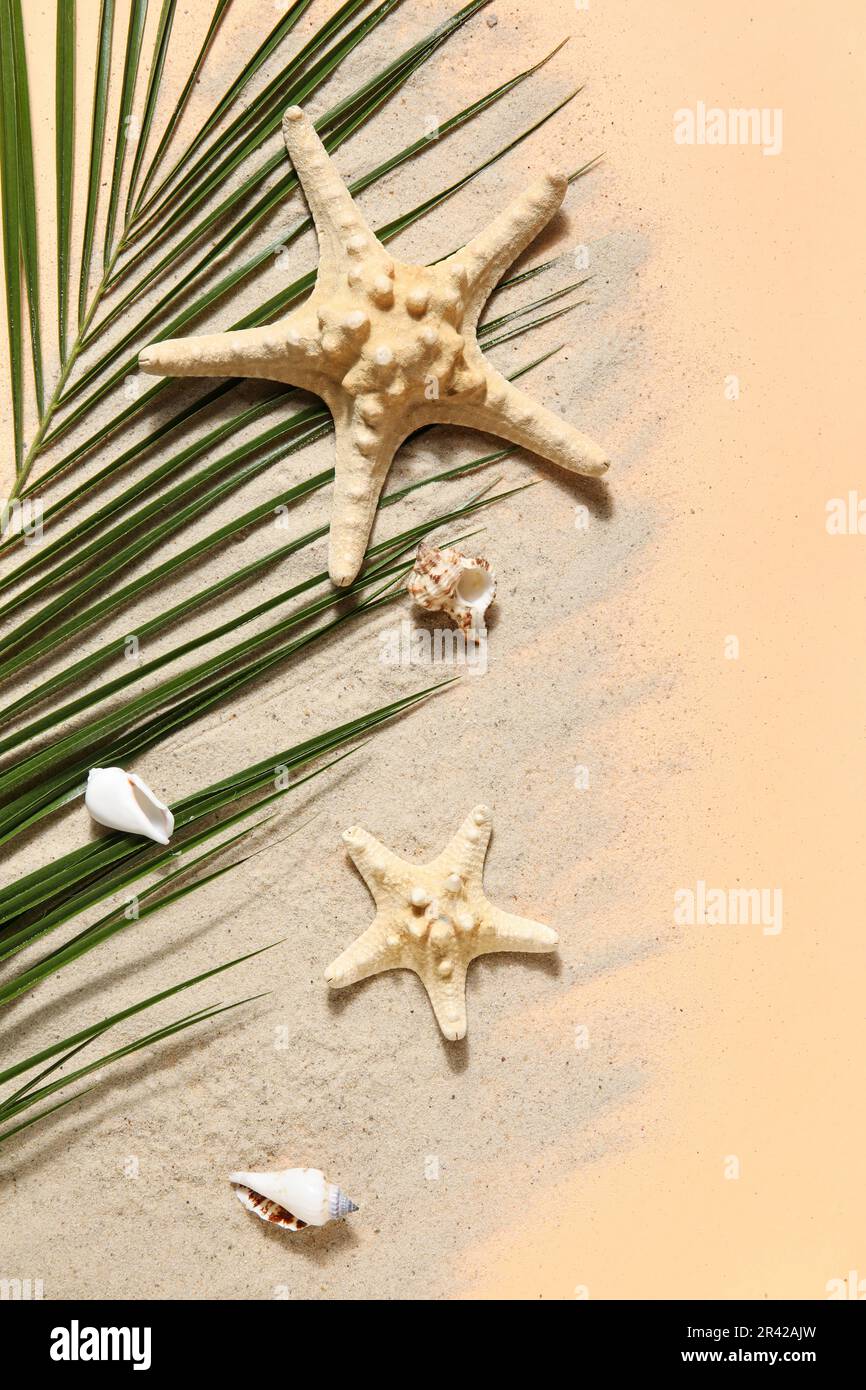 Composition with palm leaf, sand, starfishes and seashells on color ...