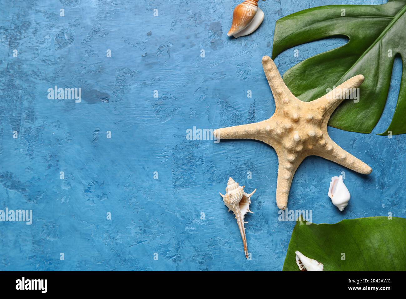 Composition with palm leaves, starfish and seashells on color ...