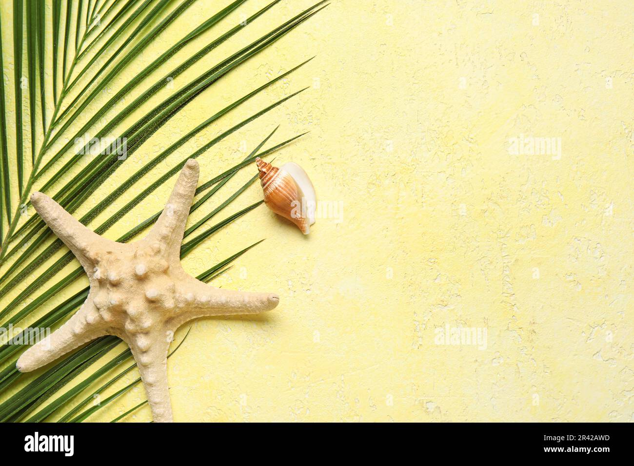 Composition with palm leaf, starfish and seashell on color background ...