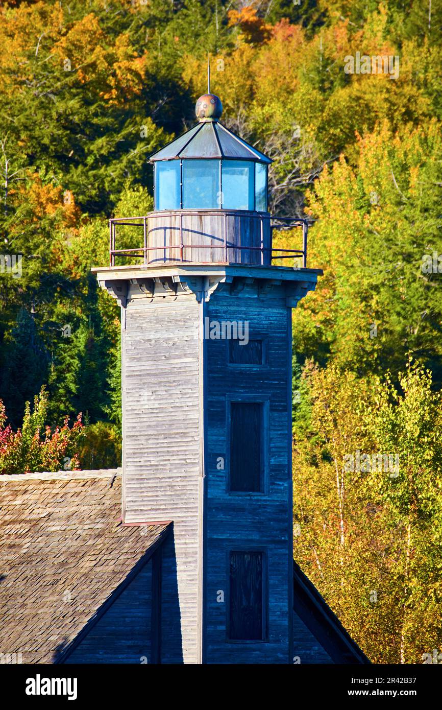Tall lighthouse tower with glass panels surrounded by a green forest ...