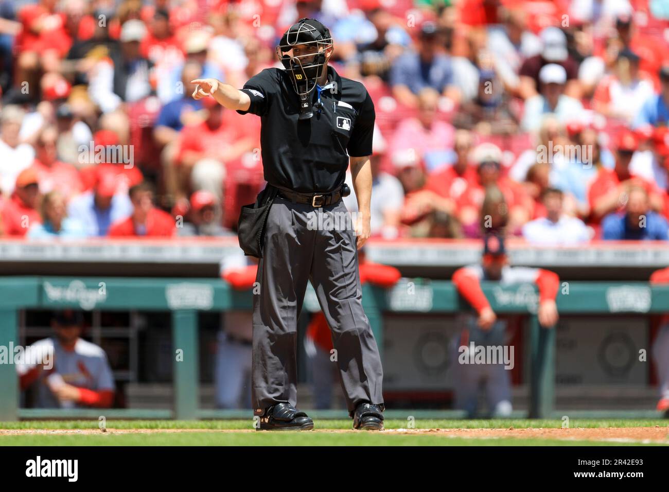 MLB umpire Dan Merzel signals a baseball game between the St. Louis ...