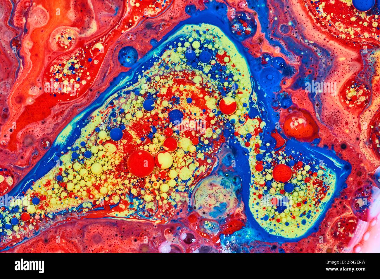 Swirling blue red and yellow acrylic paint with oil and milk bubbles ...