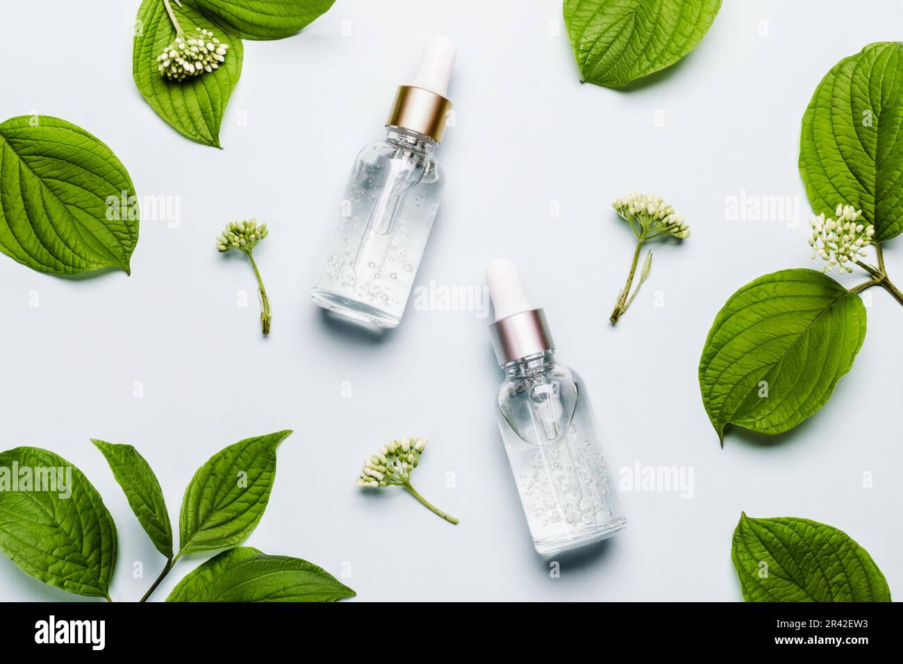 Cosmetic liquid gel products and green leaves frame on blue background ...