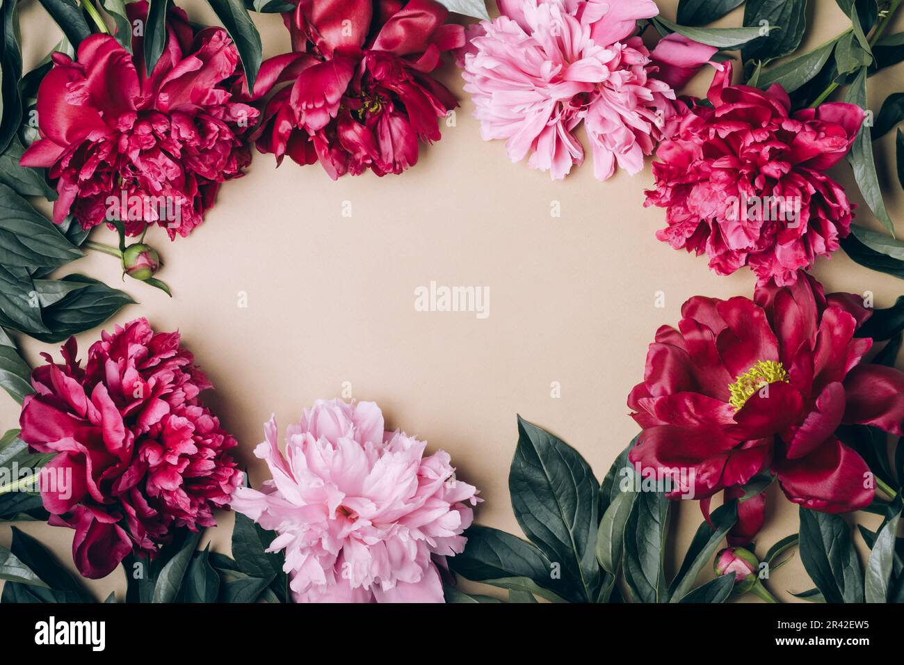 Pink champagne flowers hi-res stock photography and images - Alamy