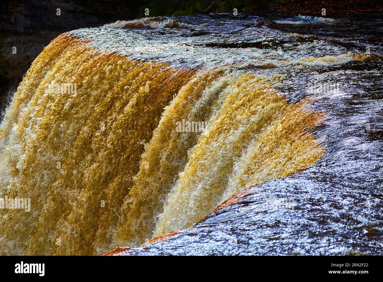 Rough, choppy waterfall at Tahquamenon Falls with raging brown murky ...