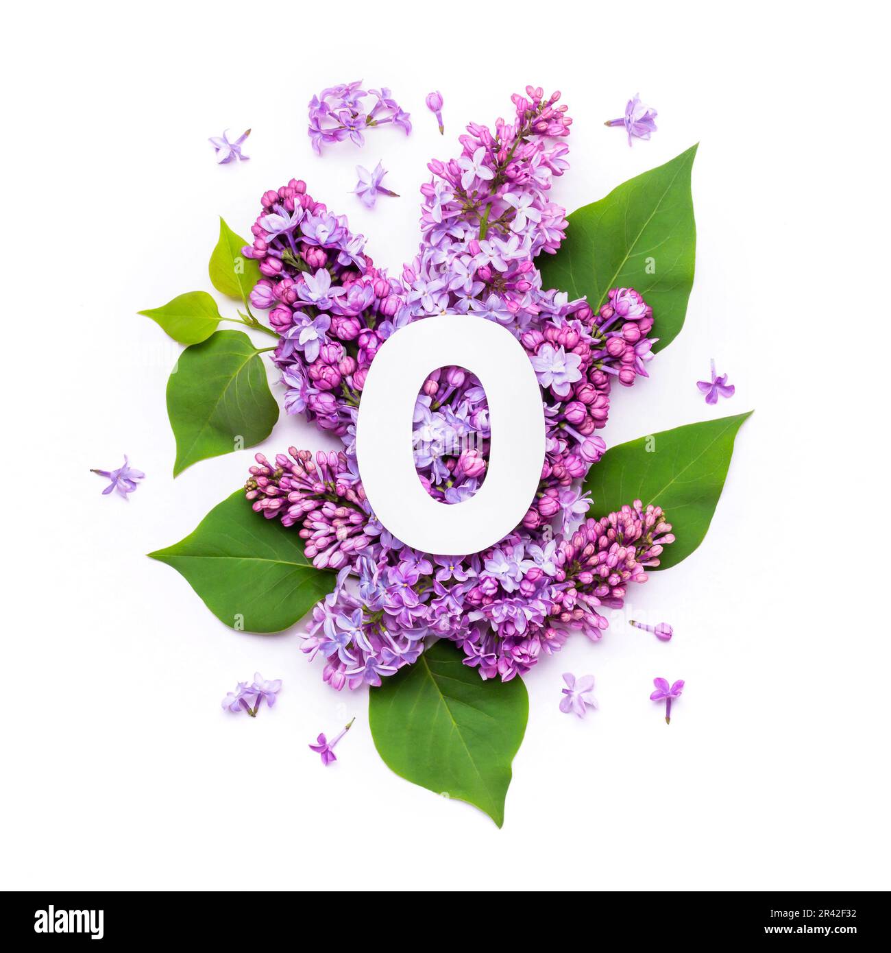 Paper number zero on background of lilac flowers. Minimal creative ...