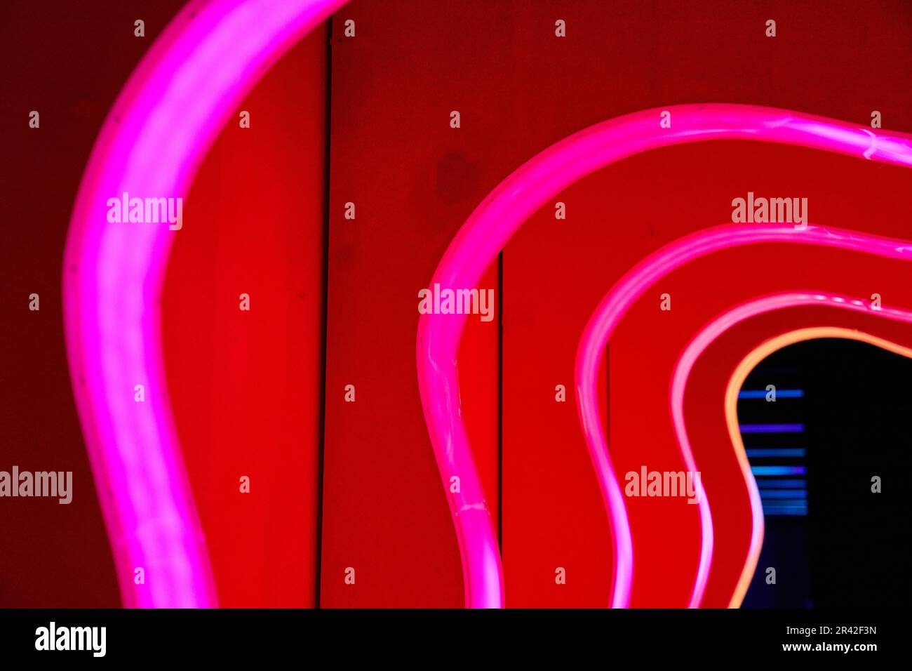 Curved pink neon lines hi-res stock photography and images - Alamy