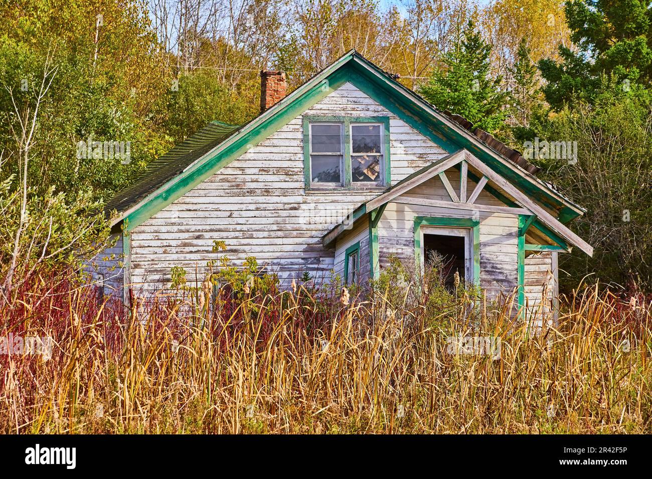 Abandoned white and green urban house home with chipped paint and no ...