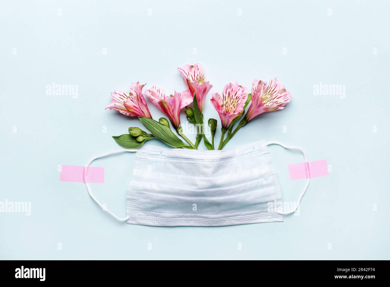 Thank You heroes Doctor and Nurses concept with medical mask and pink ...