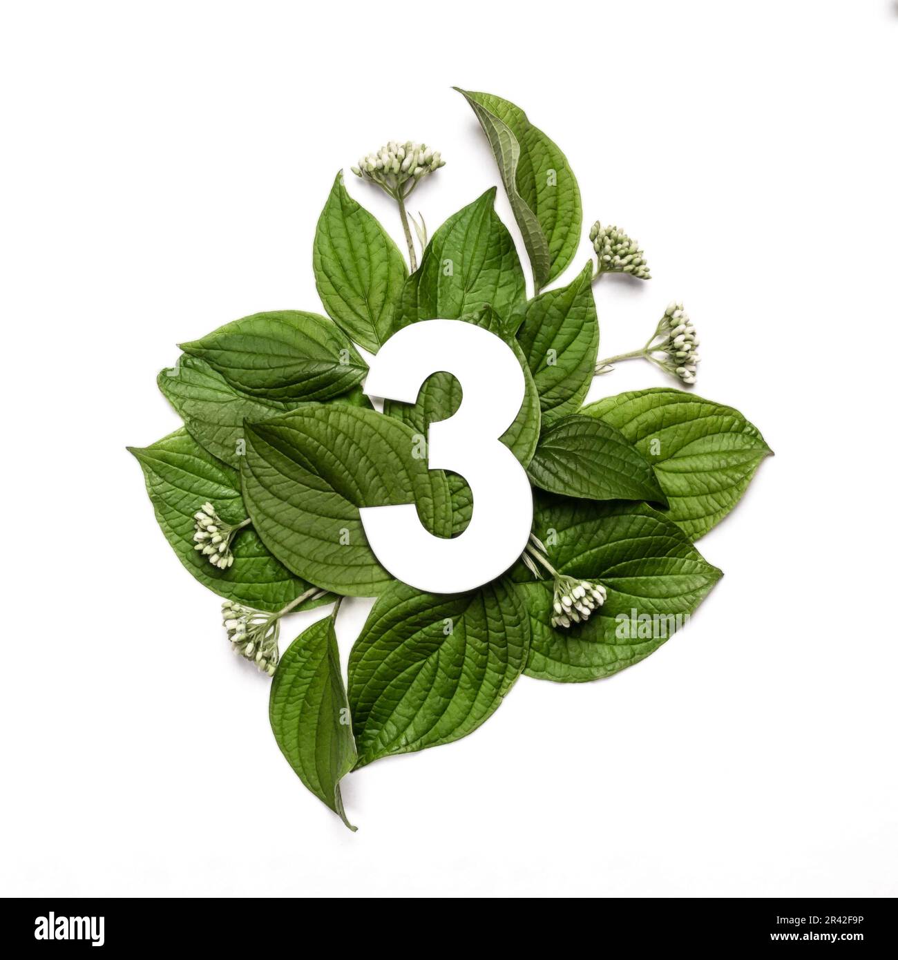 Paper number three on background of green leaves. Minimal creative ...