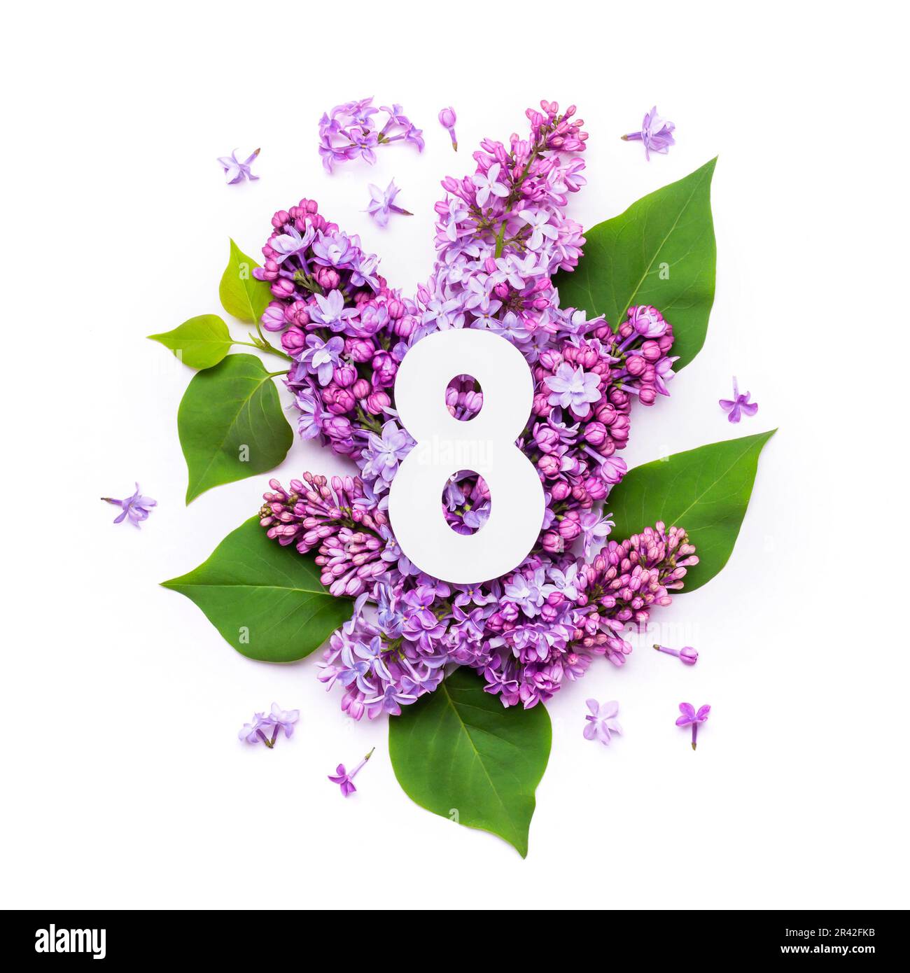 Paper number eight on background of lilac flowers. Minimal creative ...