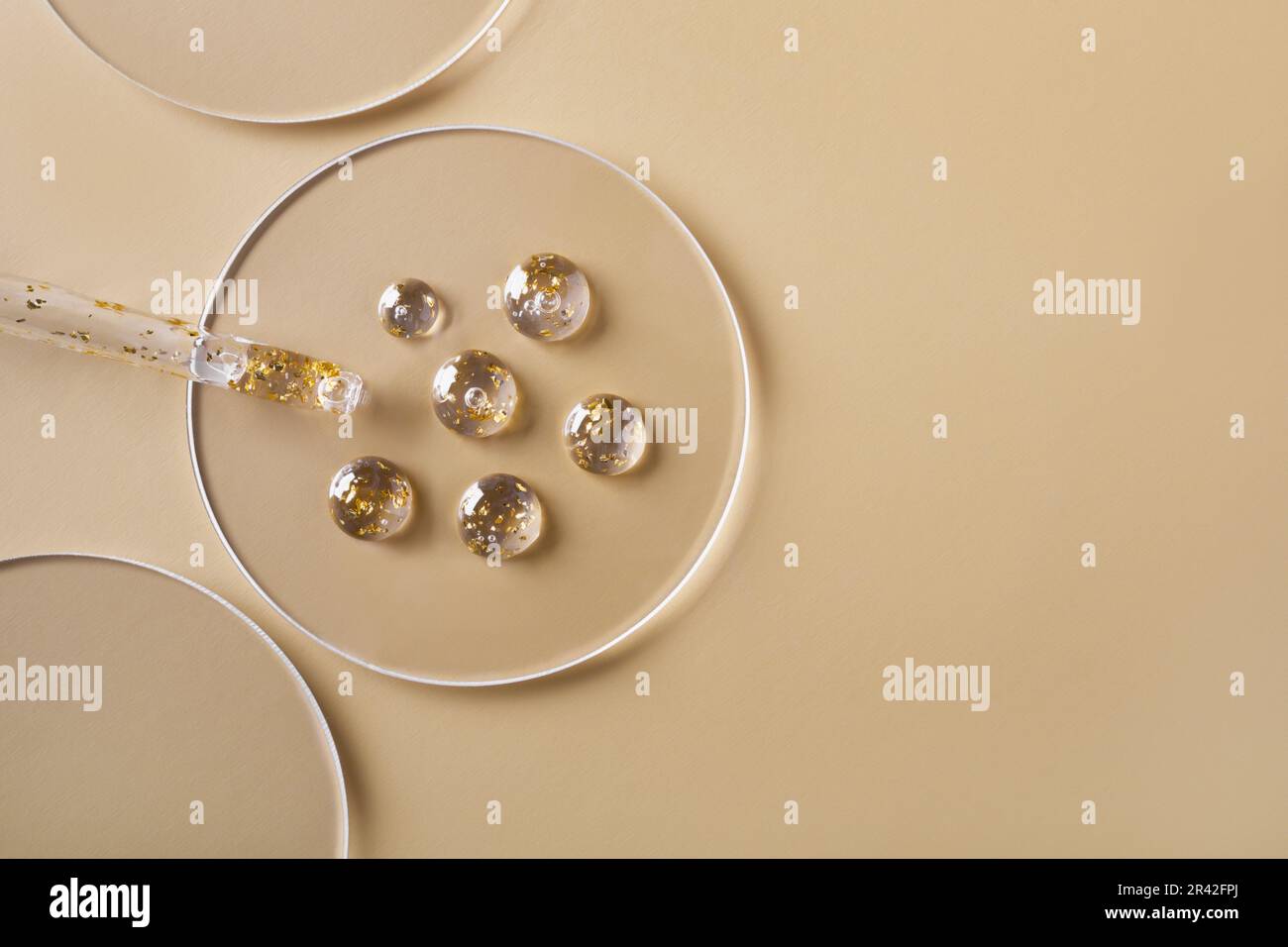 Samples of gel cosmetic products with gold in a Petri dish on beige ...