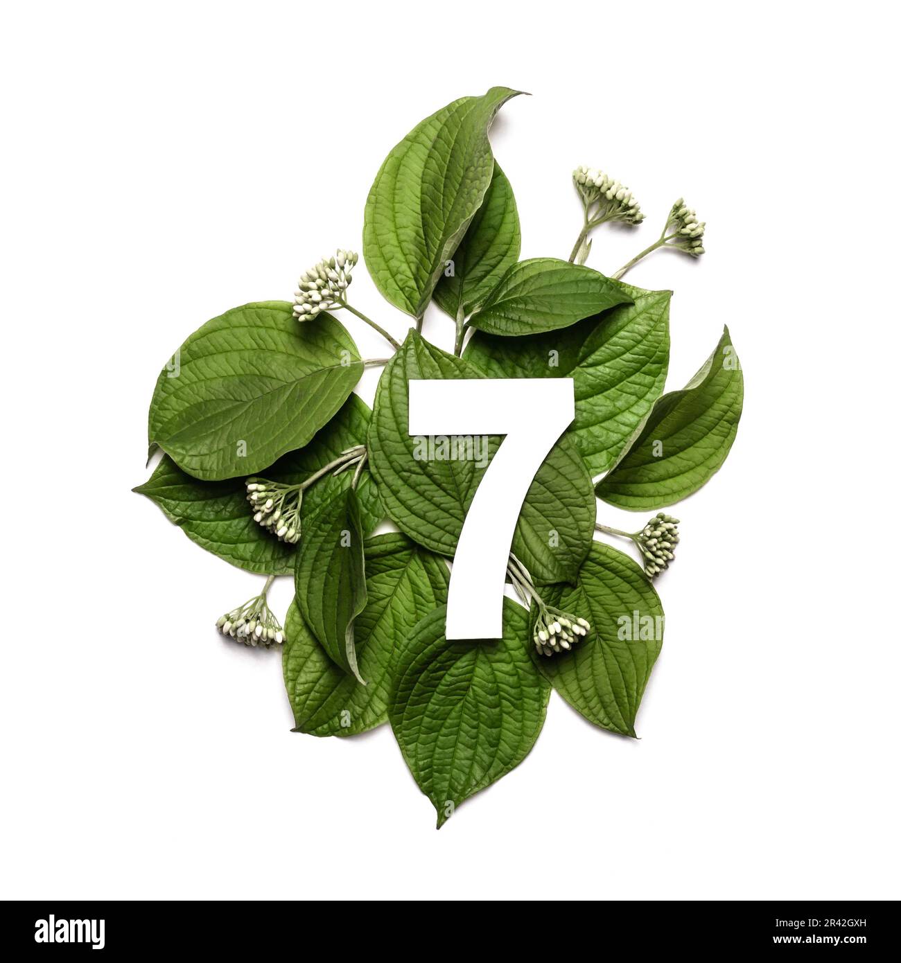 Paper number seven on background of green leaves. Minimal creative ...