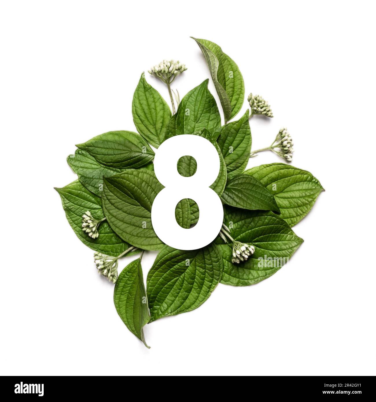 Paper number eight on background of green leaves. Minimal creative ...