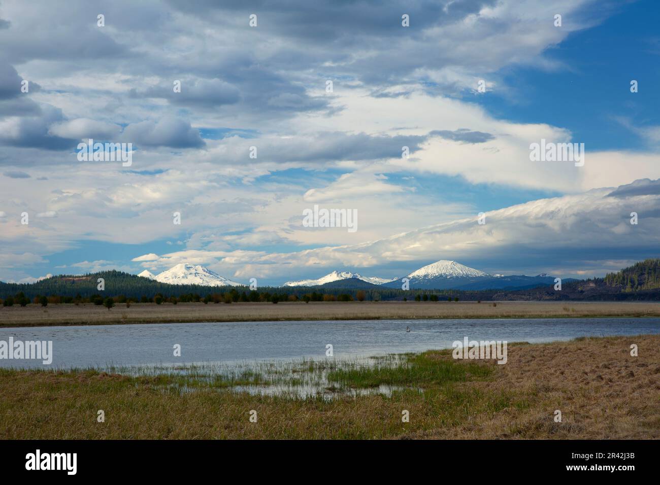 Odell Creek at Davis Lake, Deschutes National Forest, Cascade Lakes ...