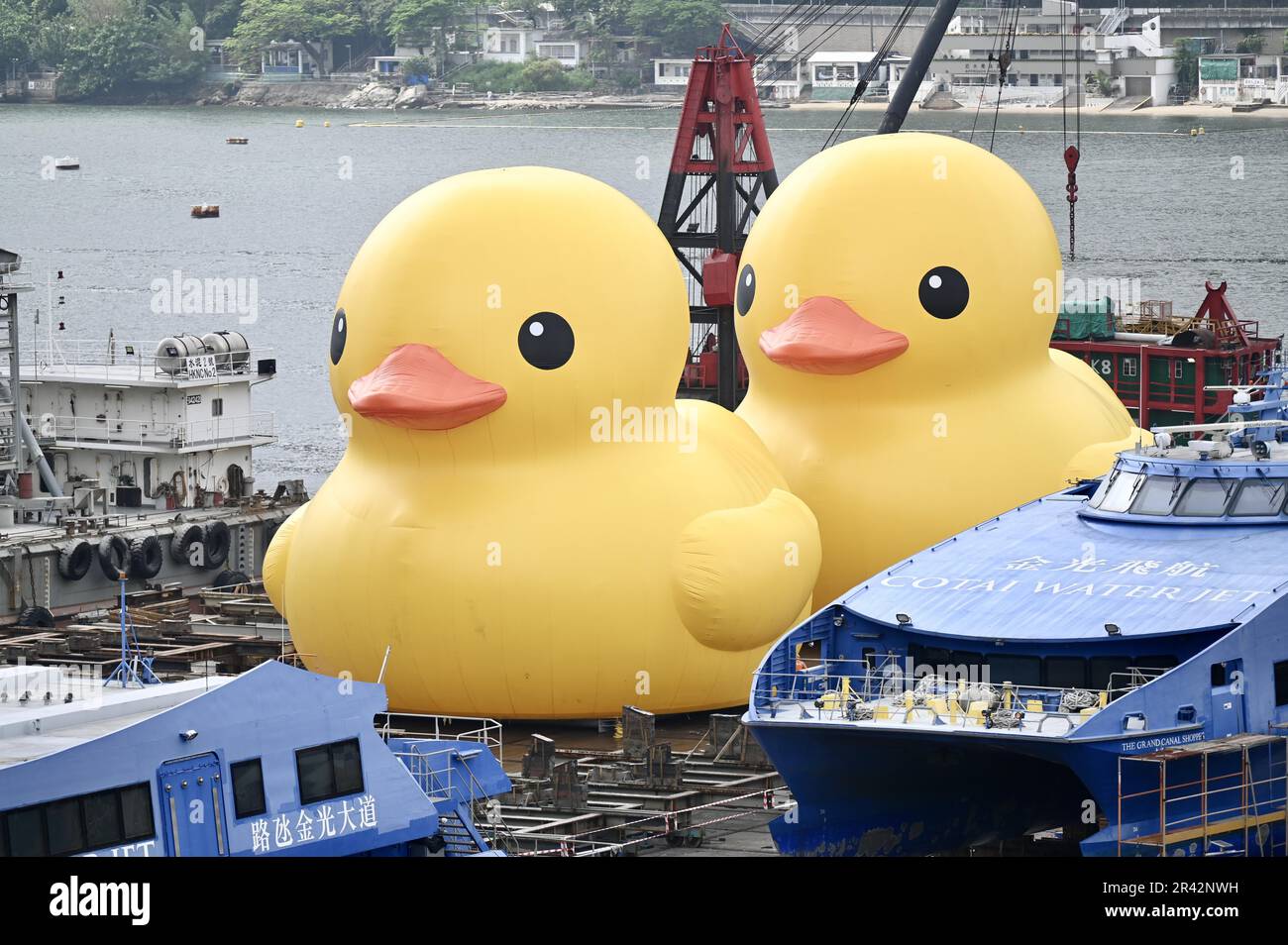 **CHINESE MAINLAND, HONG KONG, MACAU AND TAIWAN OUT** After 10 years ...