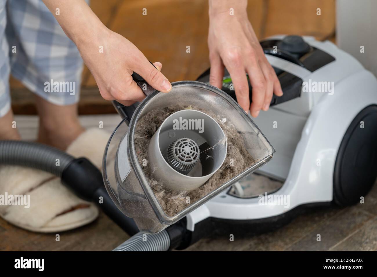 Household vacuum cleaner container clogged up with wool of domestic ...