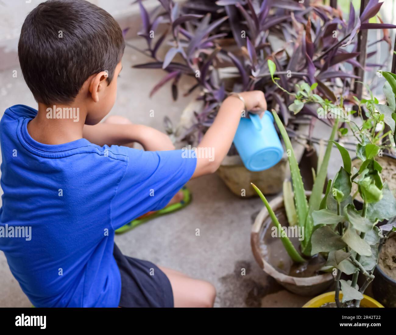Cute 5 year’s old Asian little boy is watering the plant in the pots ...