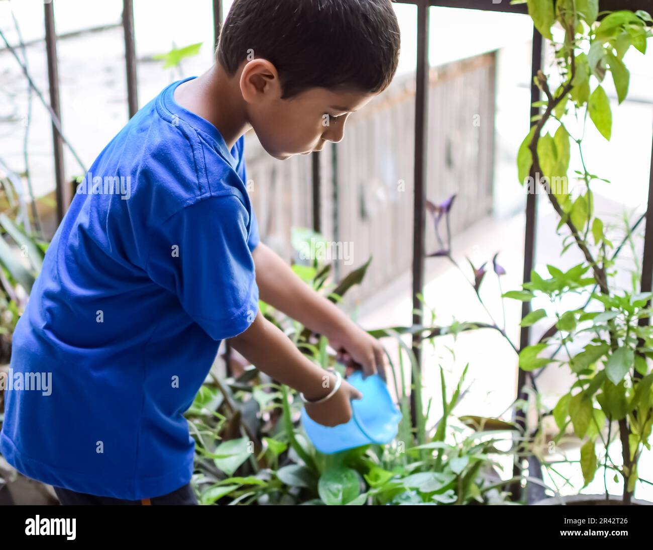 Cute 5 year’s old Asian little boy is watering the plant in the pots ...
