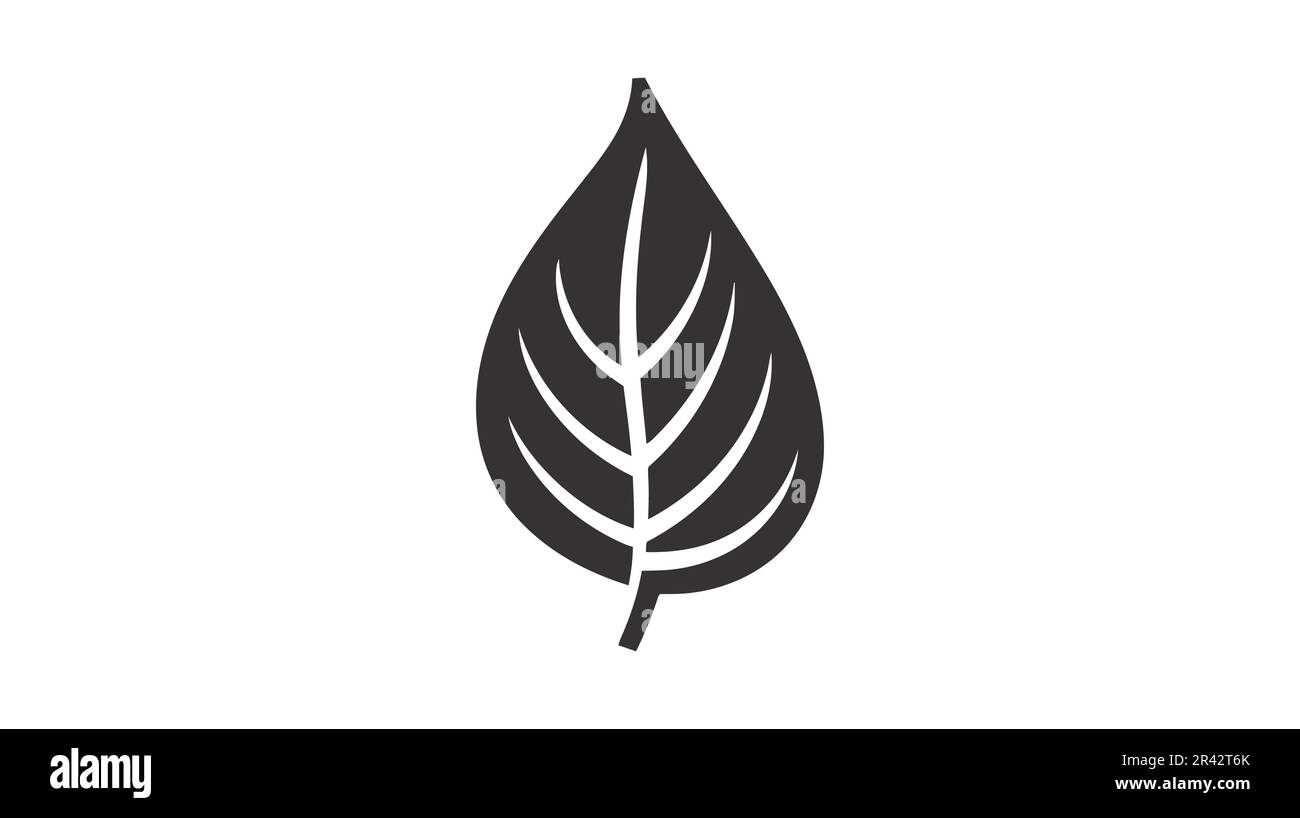 Eco icon black leaf vector illustration isolated on white background ...
