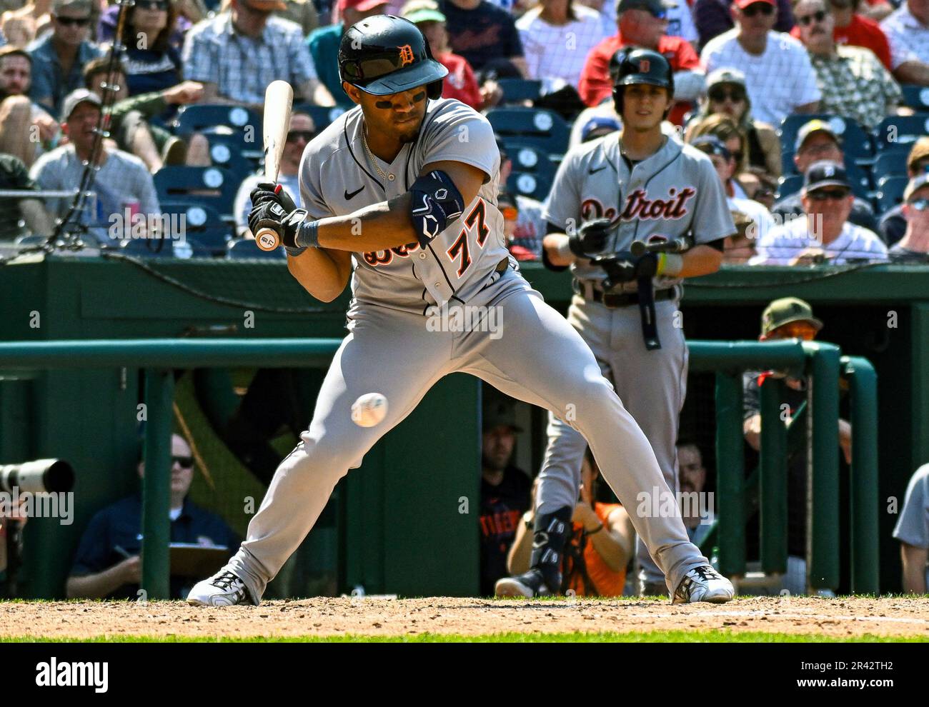 WASHINGTON, DC - May 21: Detroit Tigers designated hitter Andy Ibanez ...