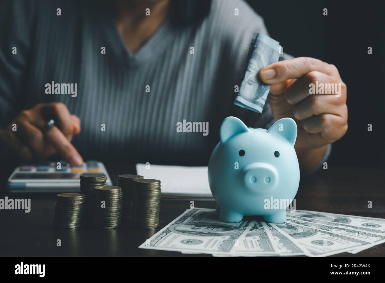 Business woman hand put dollar bill in piggy bank on wood table ...