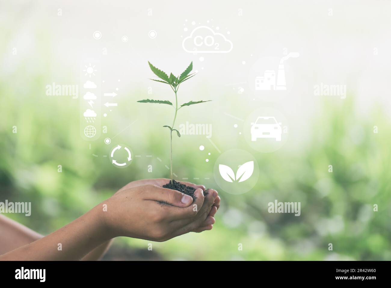 Hand holding seedlings with environment icons over the Network connection on nature background ...