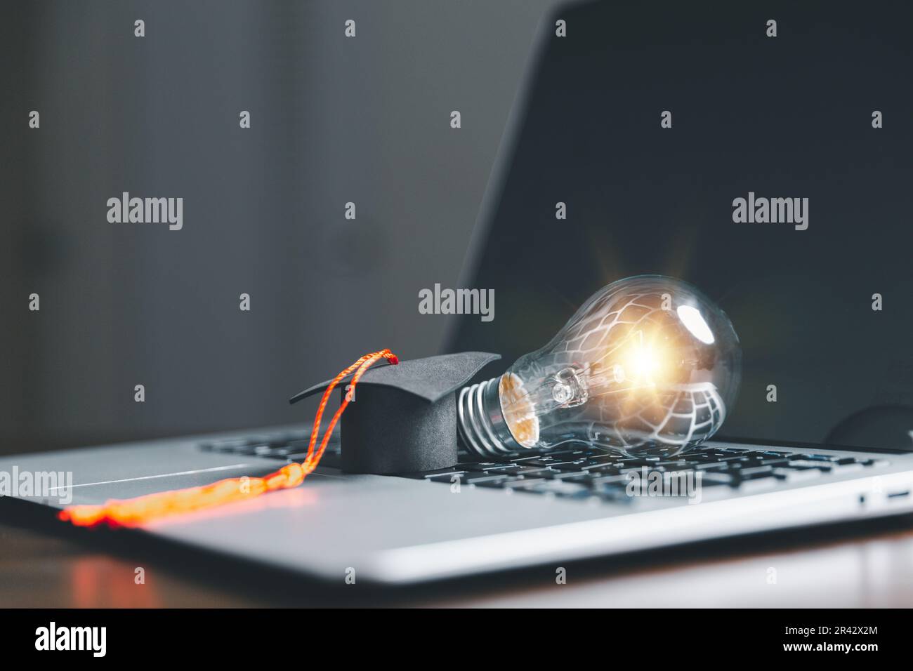 Light bulbs and books with graduation hat. Concept of reading books, knowledge, and searching ...