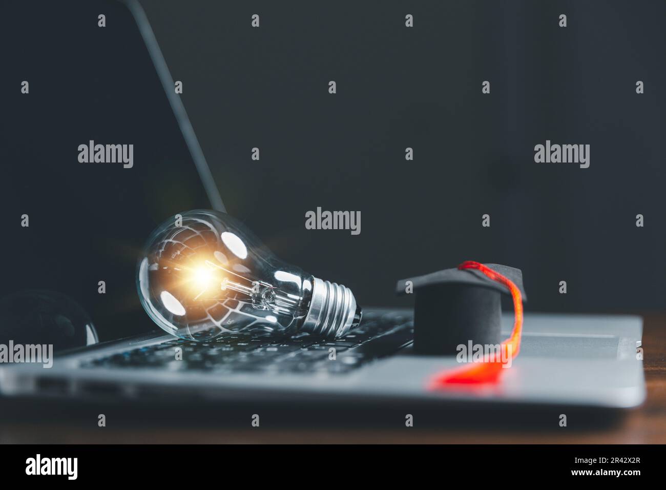 Light bulbs and books with graduation hat. Concept of reading books, knowledge, and searching ...