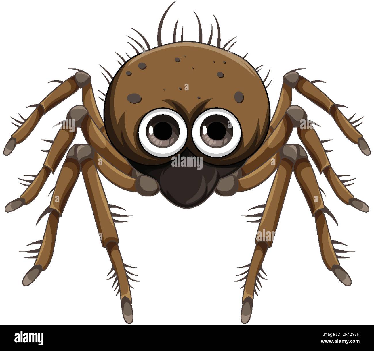 Brown spider cartoon isolated illustration Stock Vector Image & Art - Alamy