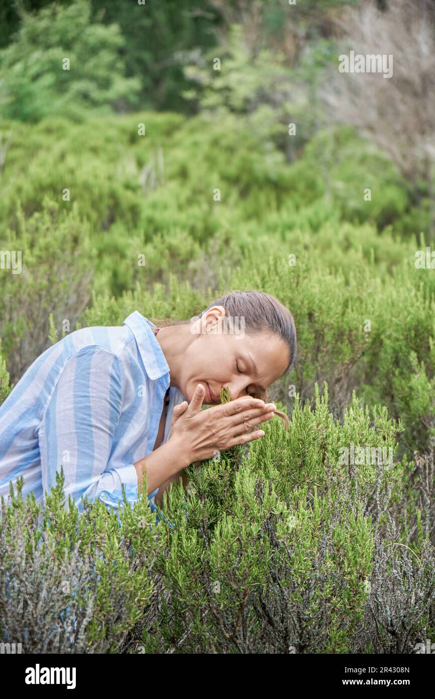 Brown-haired woman visits rosemary field enjoying smell of plants. Lady ...