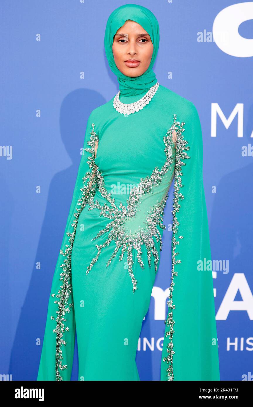 Rawdah Mohamed bei der 29. amfAR Gala Cannes im Rahmen vom Festival de ...