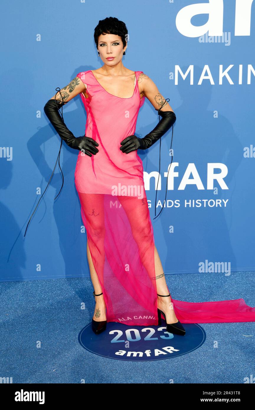 Halsey bei der 29. amfAR Gala Cannes im Rahmen vom Festival de Cannes ...