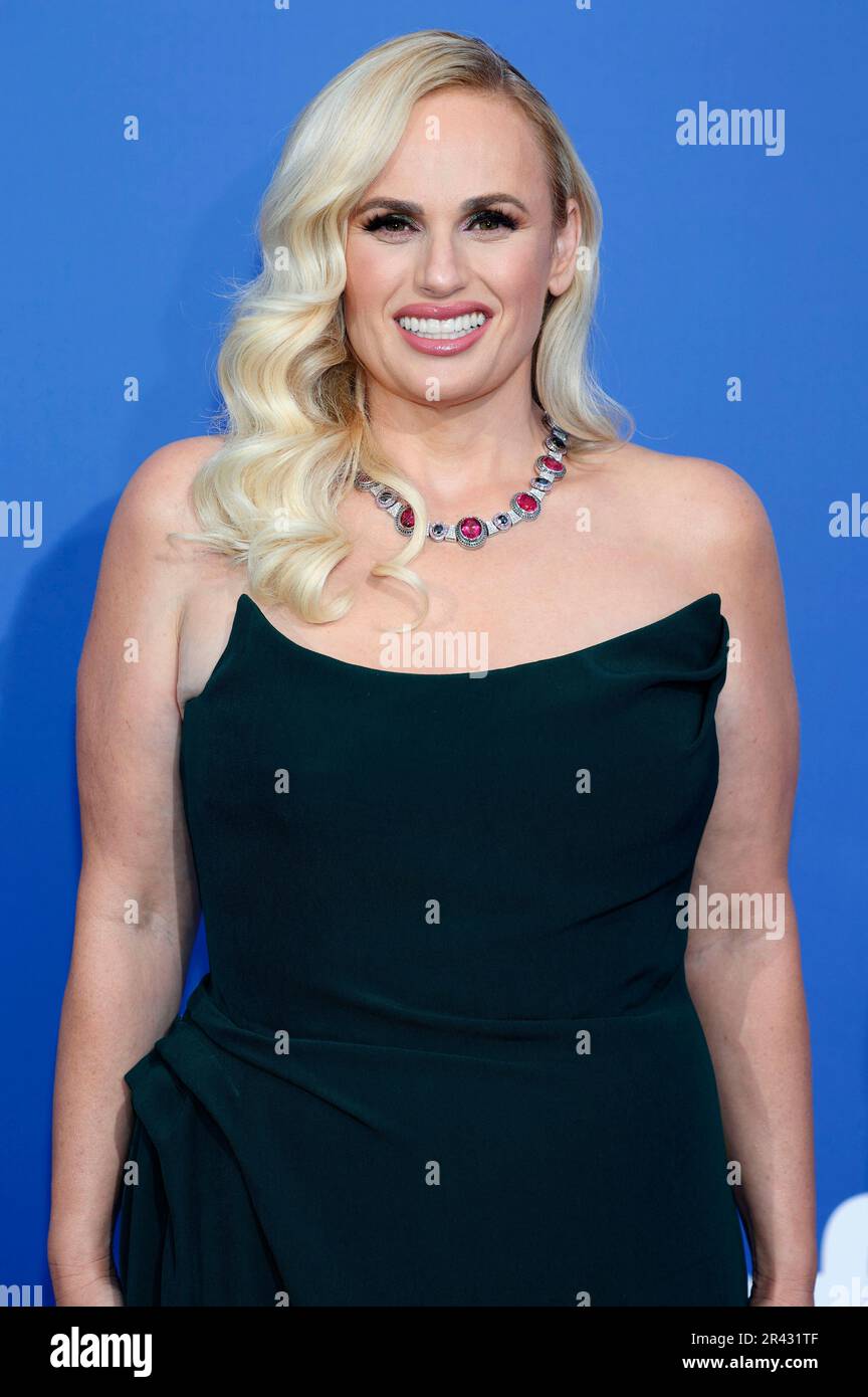 Rebel Wilson bei der 29. amfAR Gala Cannes im Rahmen vom Festival de ...