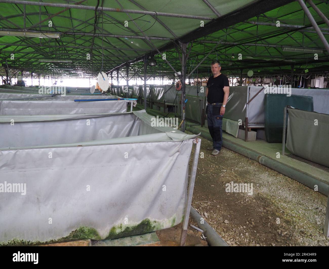 Vietnam and belgium hi-res stock photography and images - Alamy