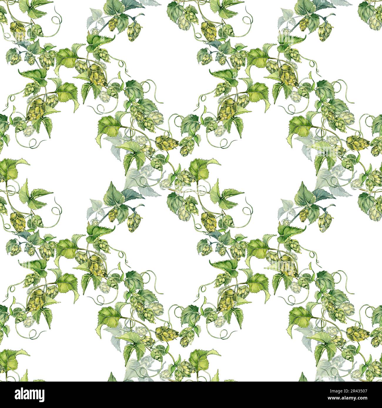 Hop vine, plant humulus watercolor seamless pattern isolated on white background. Hop on brunch ...