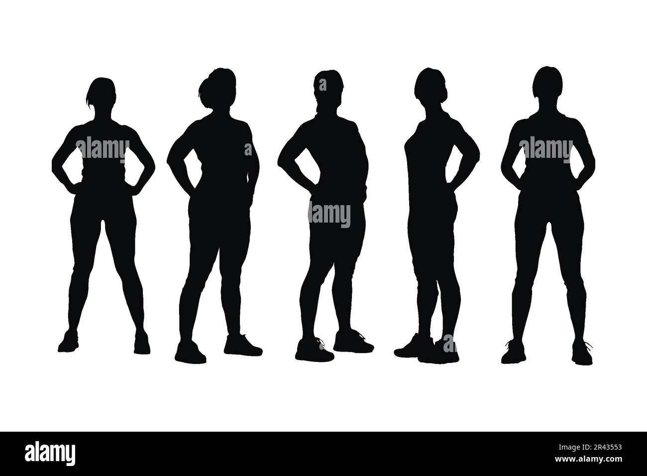 Female gymnast and bodybuilder silhouette set vector on a white ...