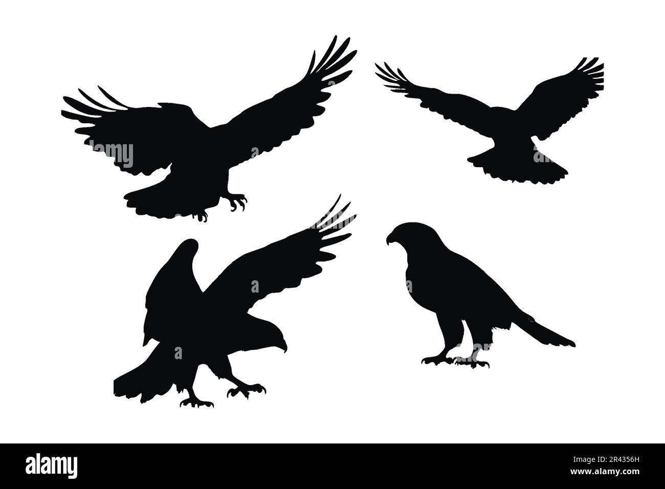 Hawks flying silhouette Stock Vector Images - Alamy