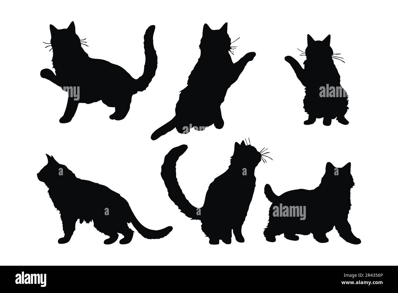 Cute home cat vector design on a white background. Feline standing ...