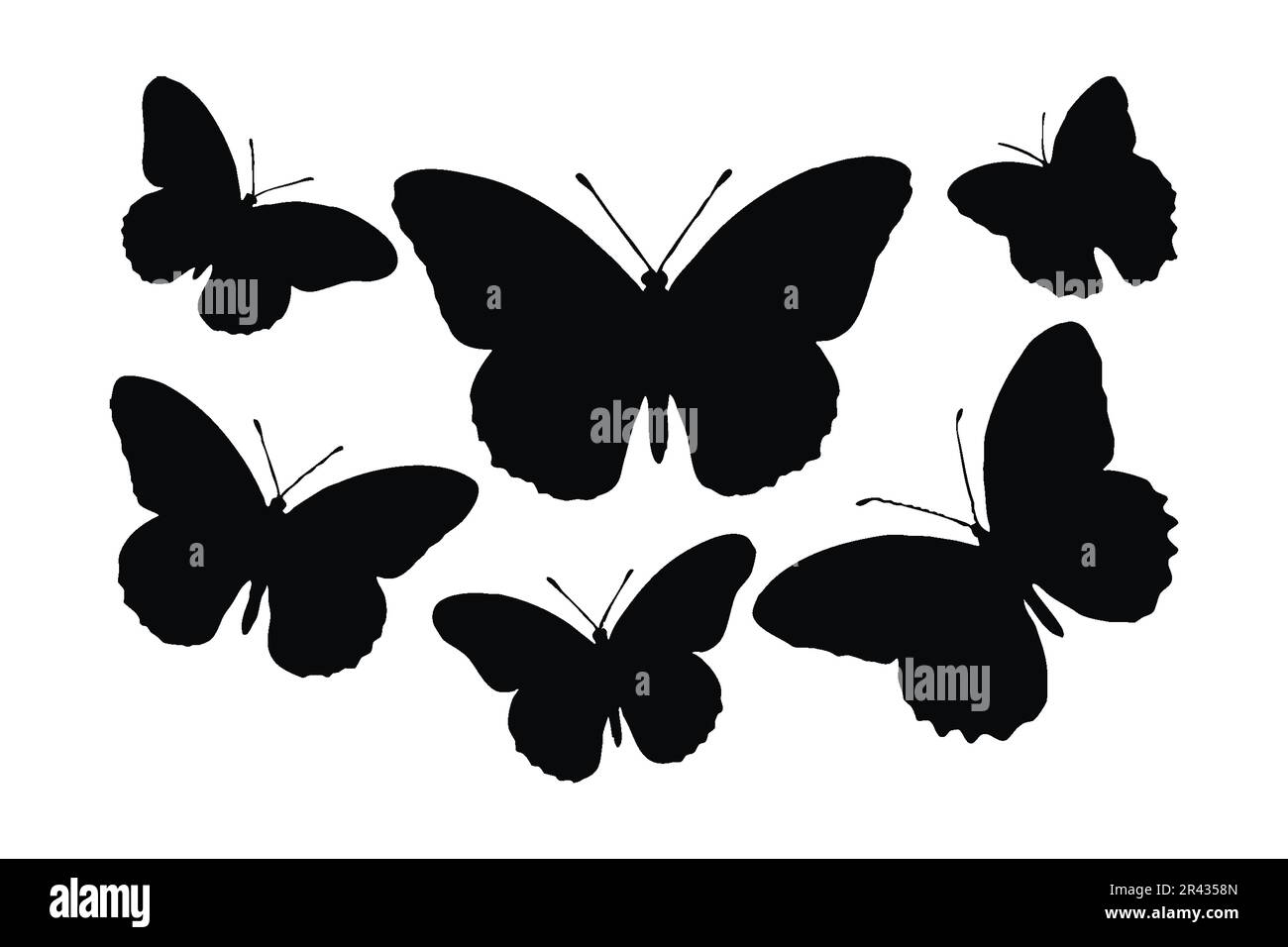 Moth and butterfly black and white silhouette vector bundle. Wild ...
