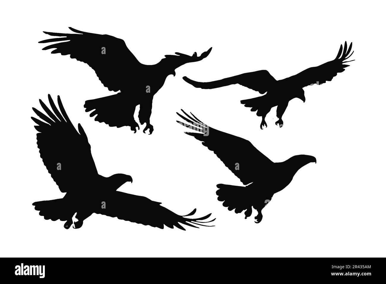 Eagle flying silhouette bundle design. Wild eagle vector design on a ...
