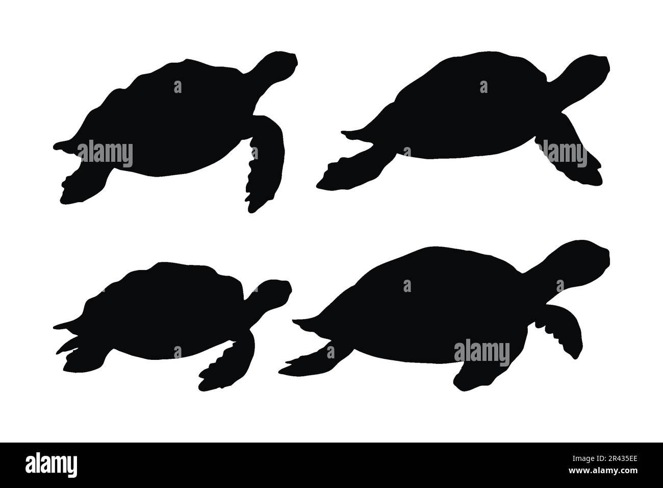 Cute turtle walking and swimming silhouette bundle design. Turtle in ...