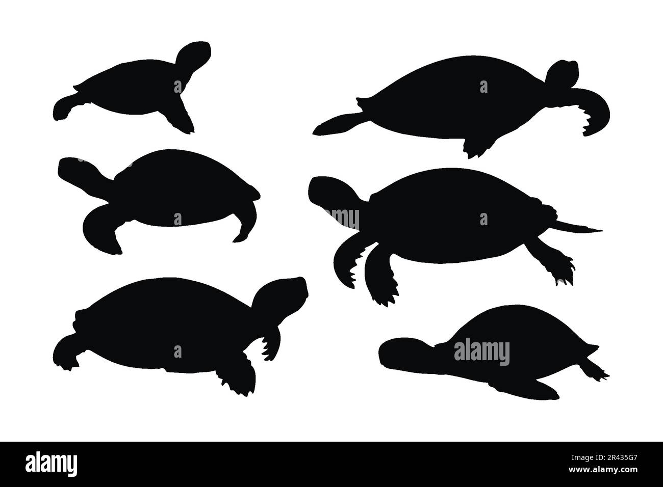 Turtle crawling in different positions, silhouette set vector. Adult ...