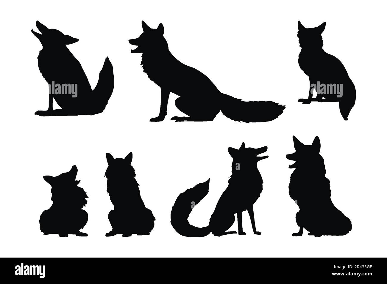 Wild foxes vector design on a white background. Foxes walking ...