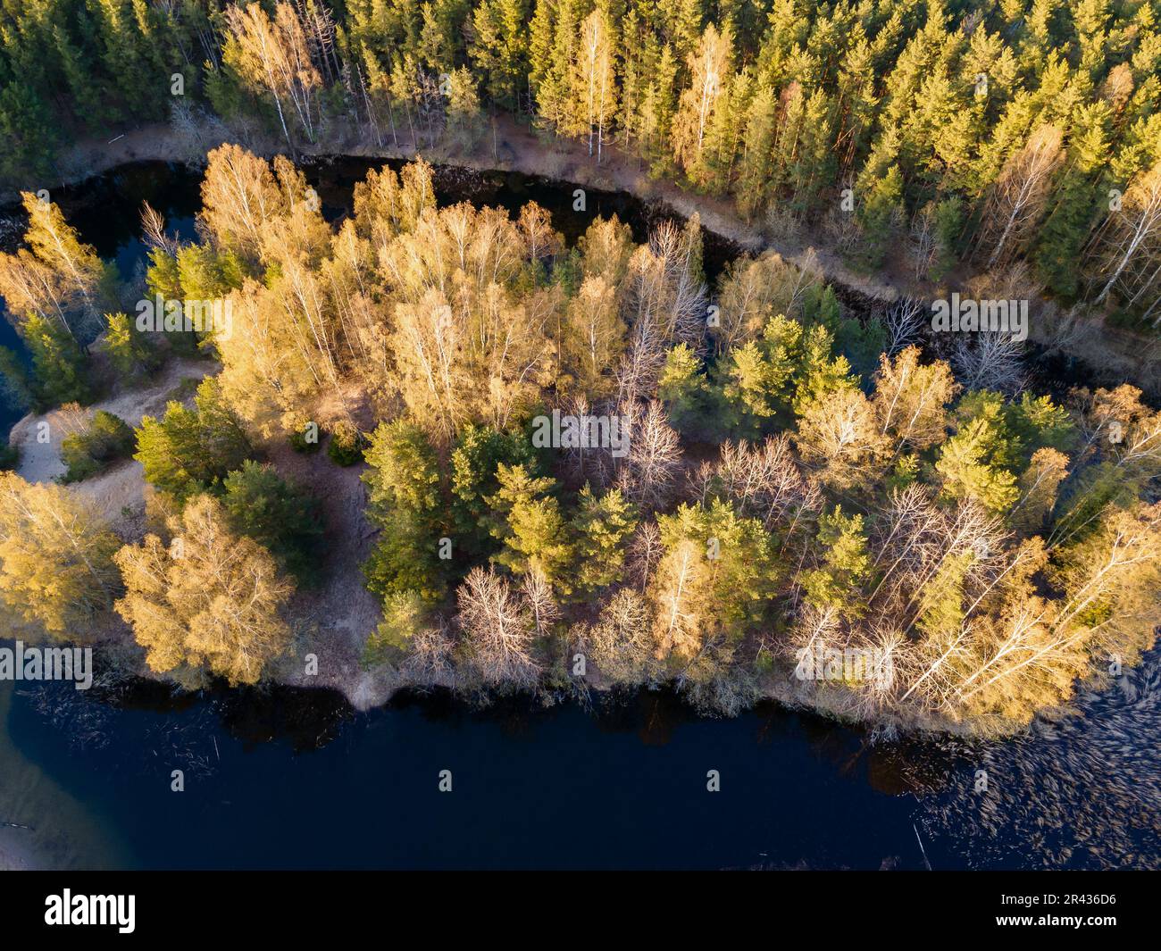 Aerial view on small forest hi-res stock photography and images - Alamy